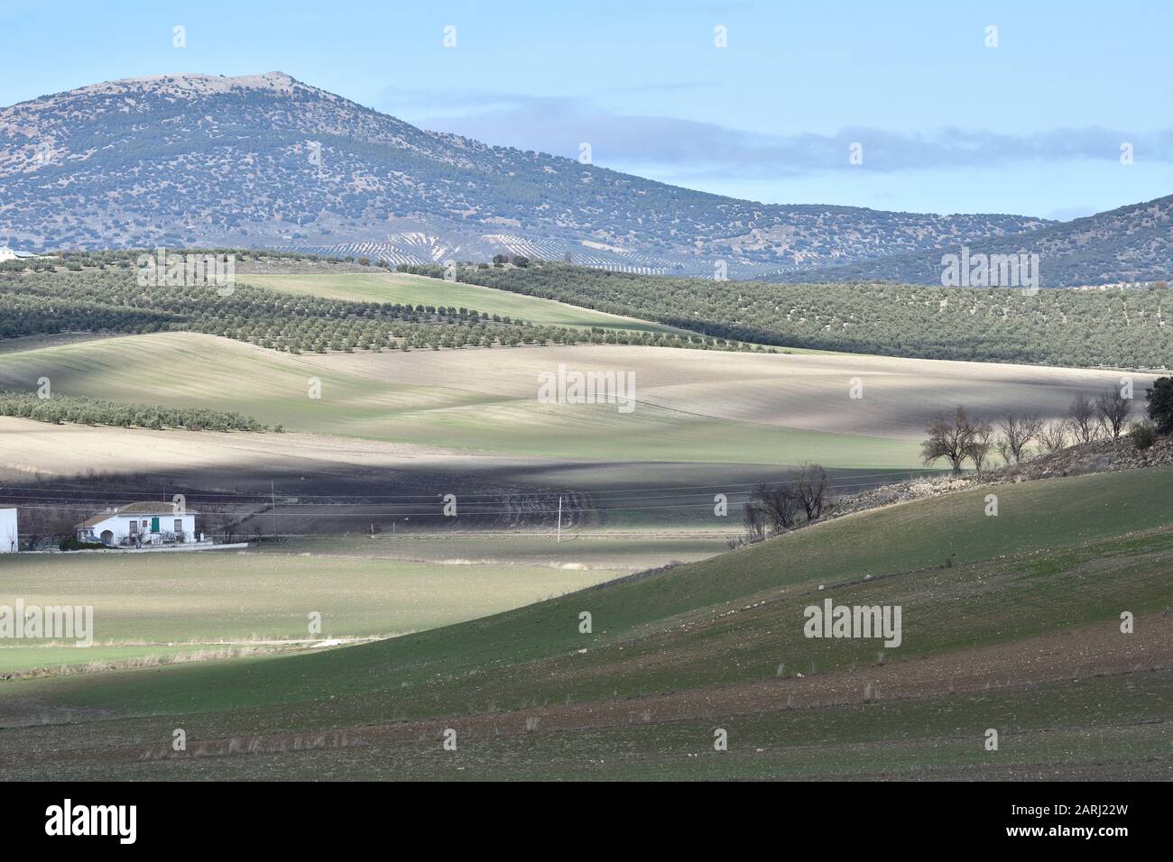 Andalusian landscape with white farmhouse and hills of land for ...