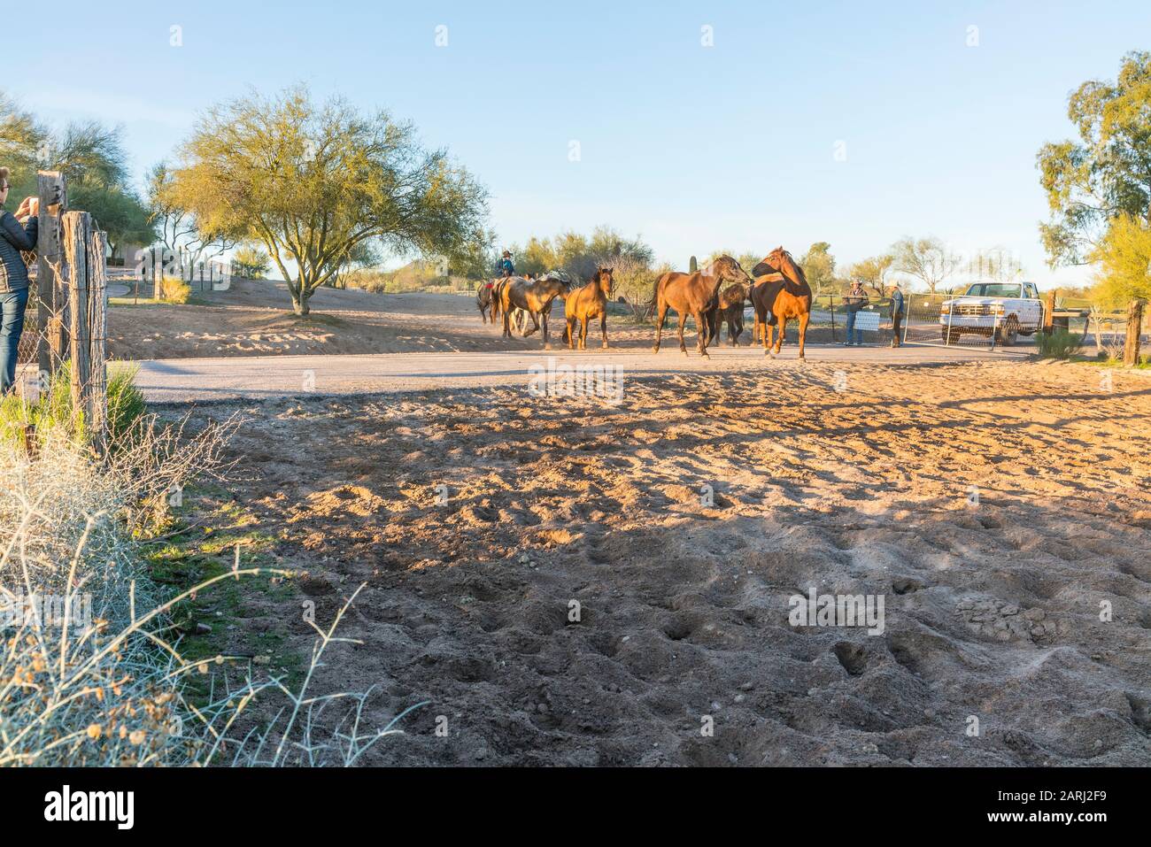 Rancho de caballos hi-res stock photography and images - Alamy