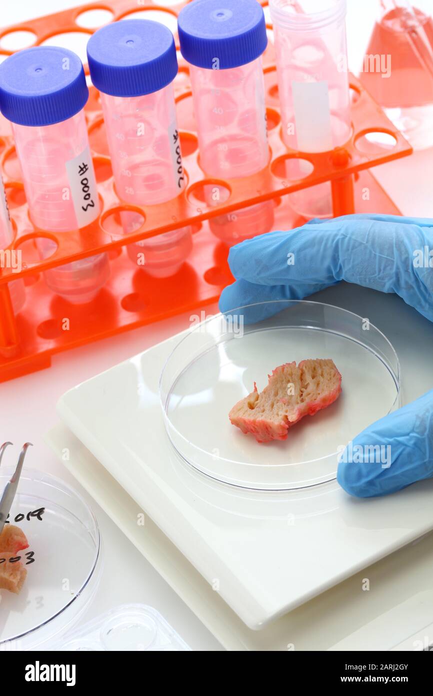 cultured meat making image, lab grown meat concept Stock Photo - Alamy
