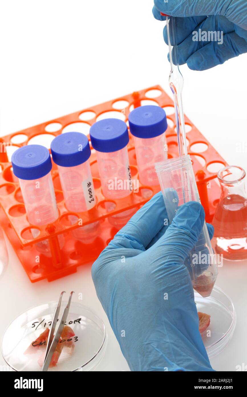 cultured meat making image, lab grown meat concept Stock Photo - Alamy