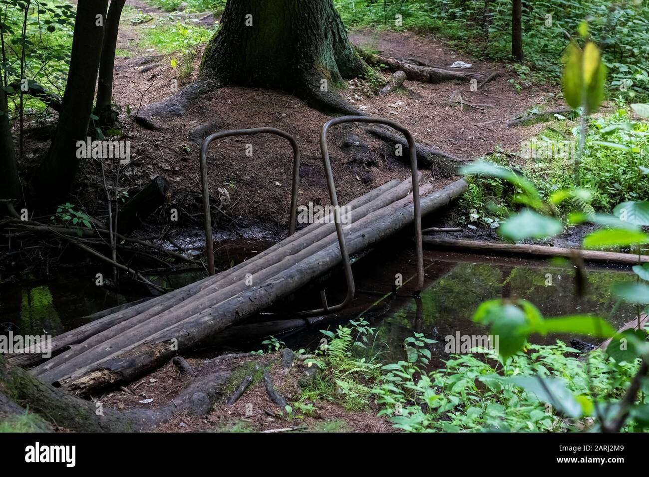 Old bridge of logs over the river in the forest in summer Stock Photo ...