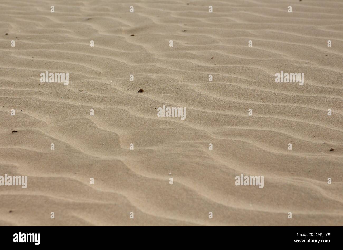 sand at the beach Stock Photo - Alamy