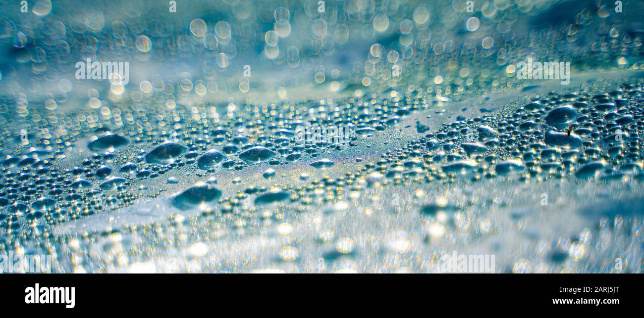 Condensate on transparent walls from a plastic film of a greenhouse ...