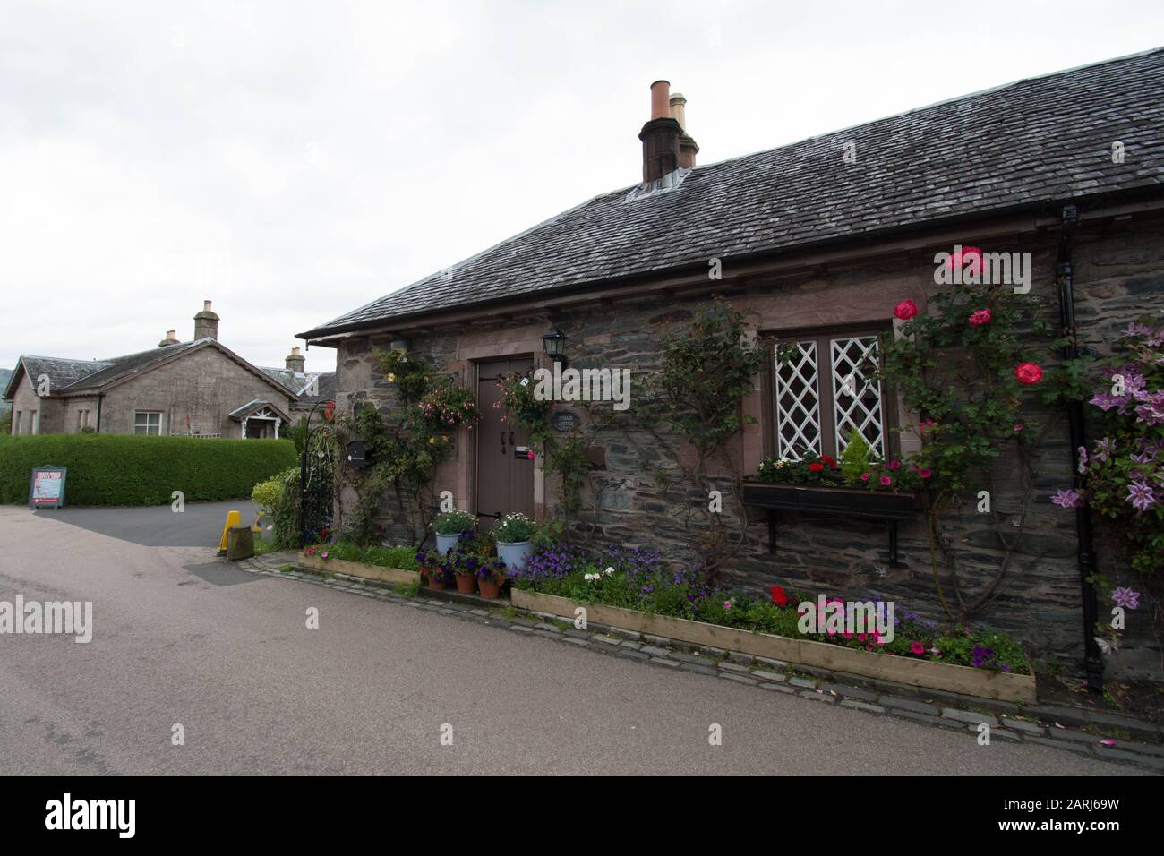 Rock roses scotland hi-res stock photography and images - Alamy