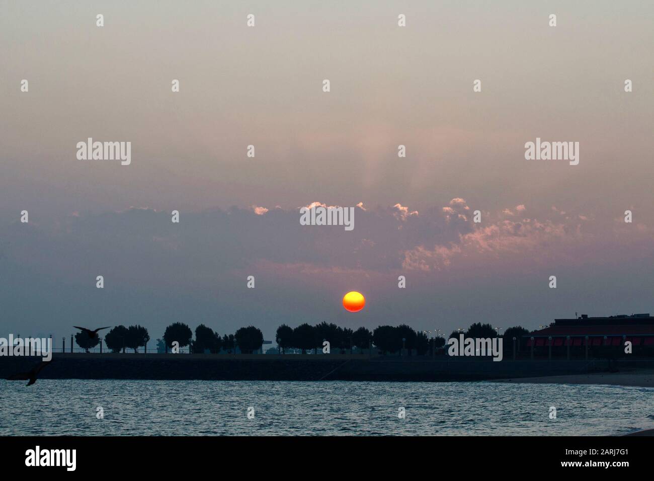 Peoples park at kuwait hi-res stock photography and images - Alamy