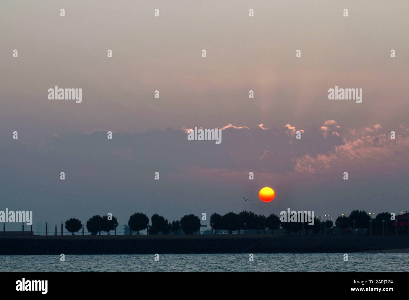 Peoples park at kuwait hi-res stock photography and images - Alamy