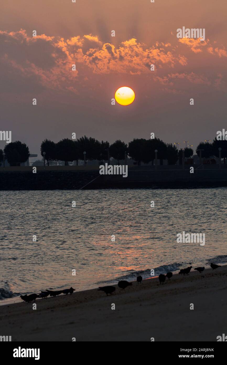 Peoples park at kuwait hi-res stock photography and images - Alamy