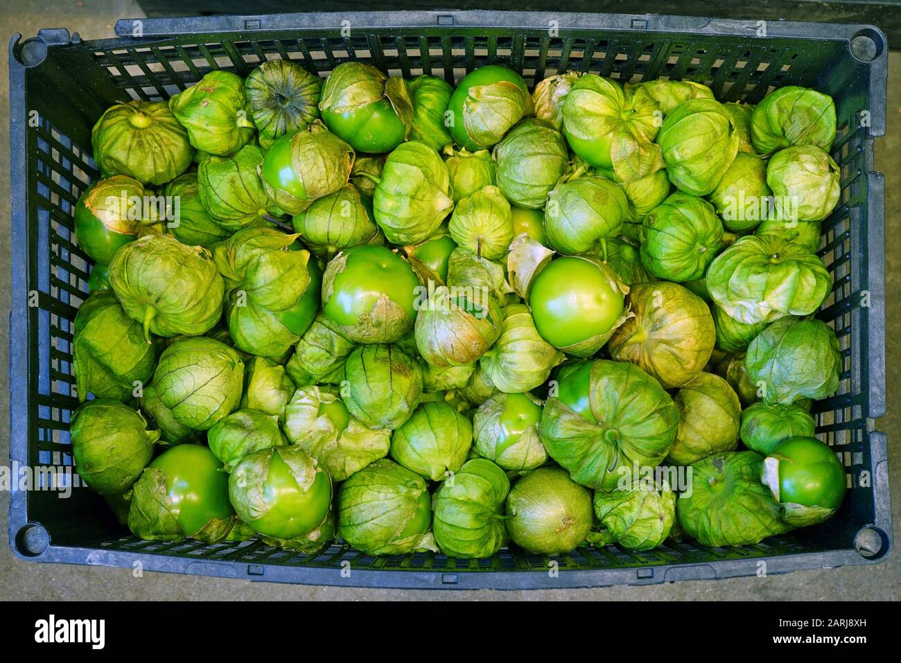 Husk tomato hi-res stock photography and images - Alamy