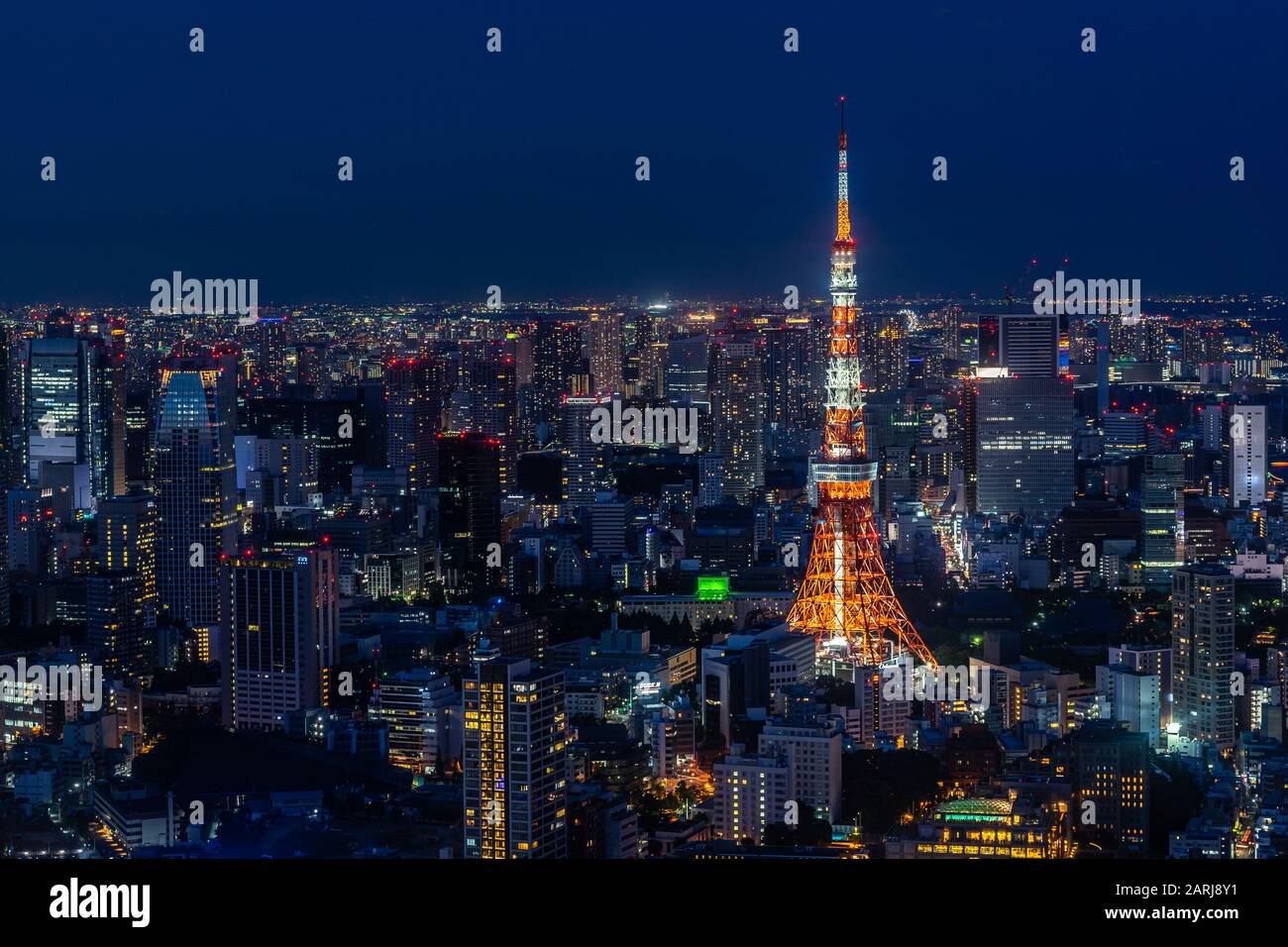 Night cityscape of Tokyo dominated by Tokyo Tower, the most famous ...
