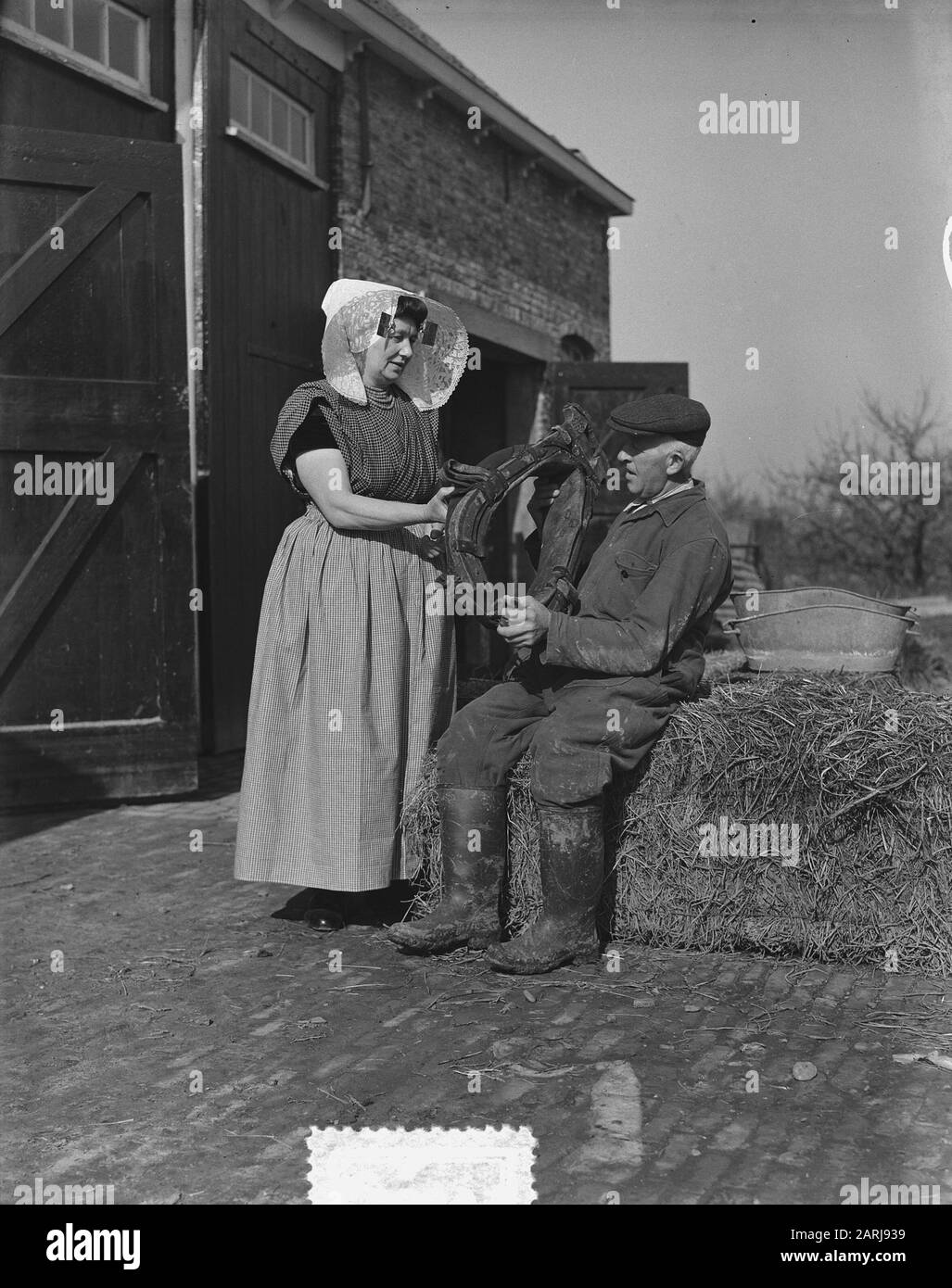 Rilland Bath return residents (farmer's wife) Date: 23 April 1953 ...