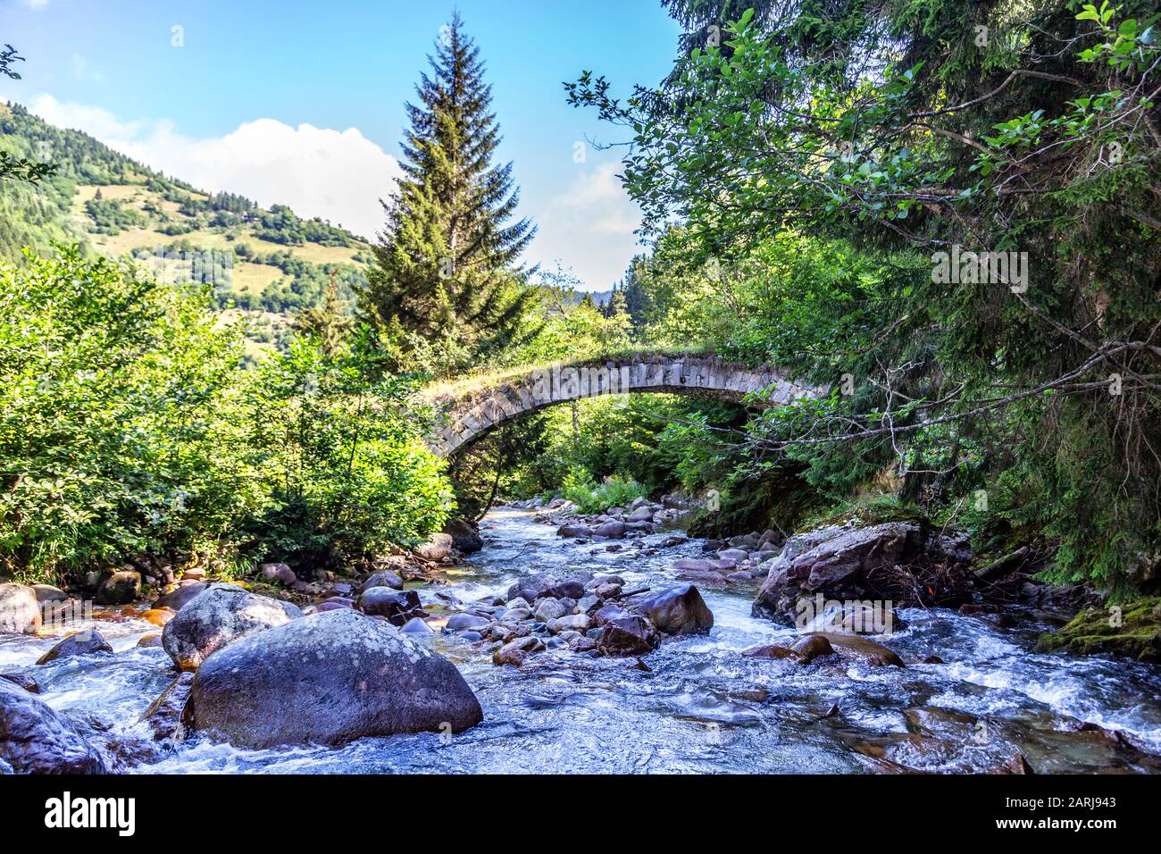 Petran hi-res stock photography and images - Alamy