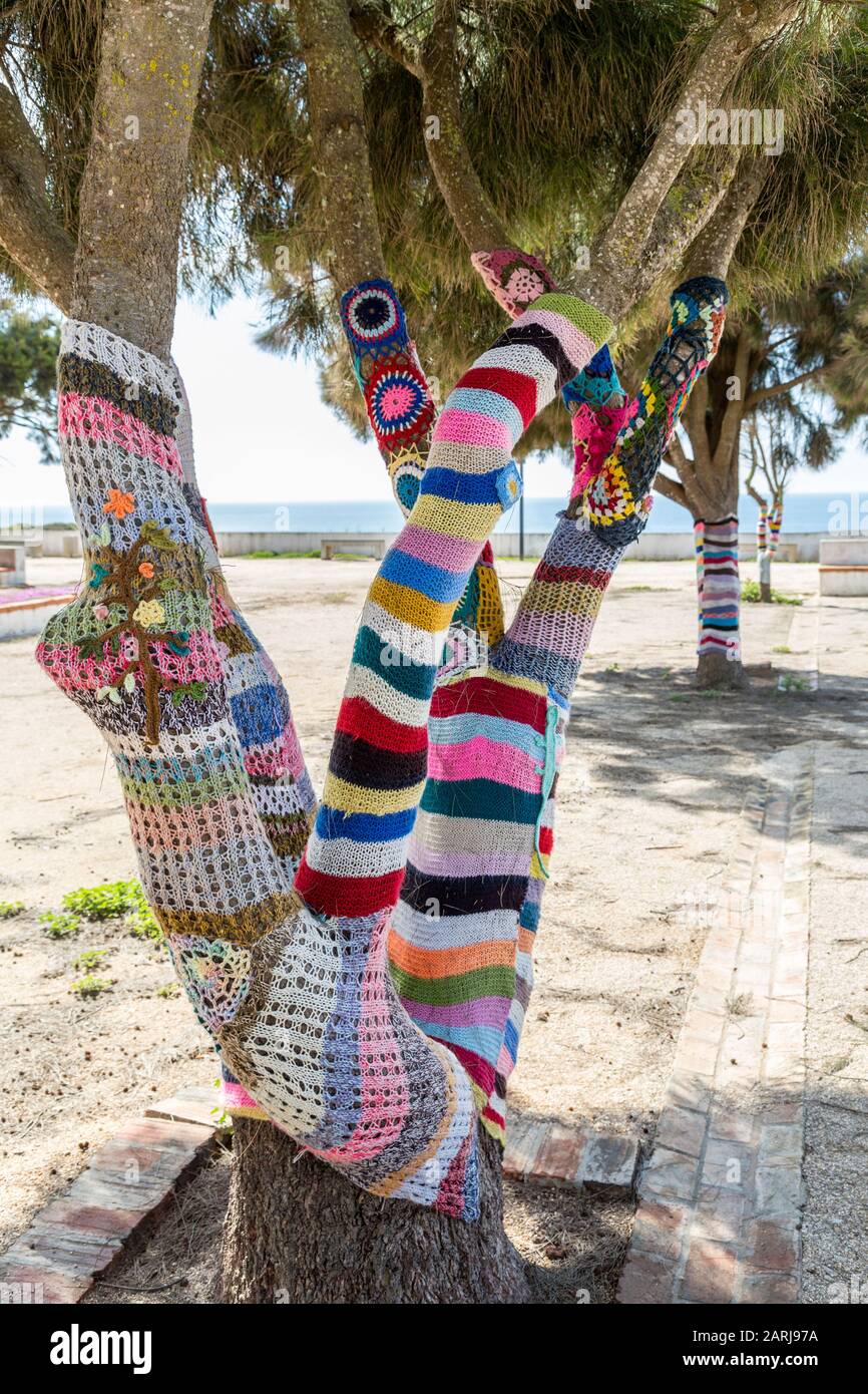 Wrapping tree hi-res stock photography and images - Alamy