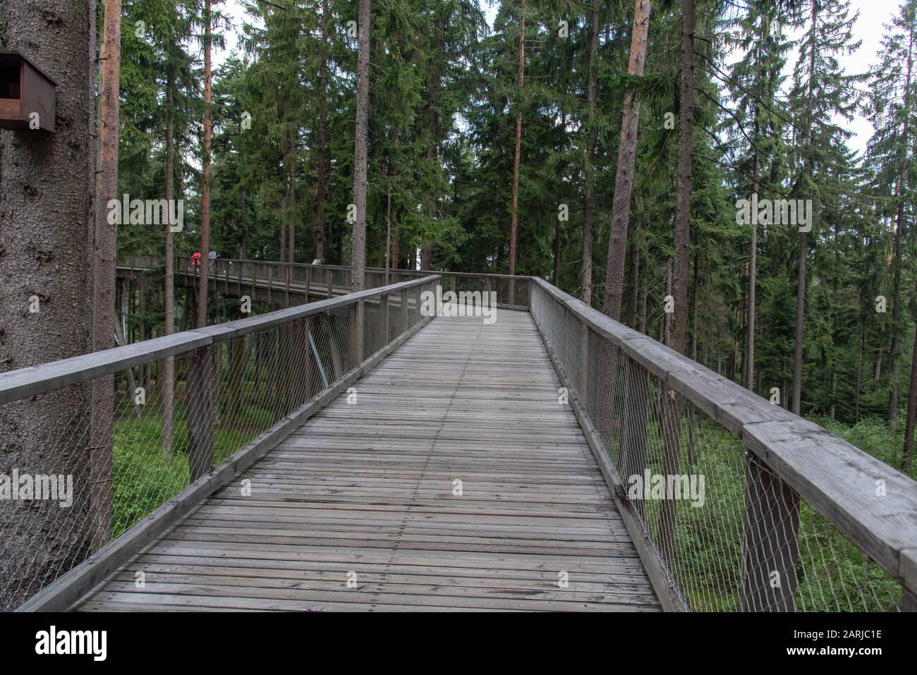 Treetop adventure trail hi-res stock photography and images - Alamy