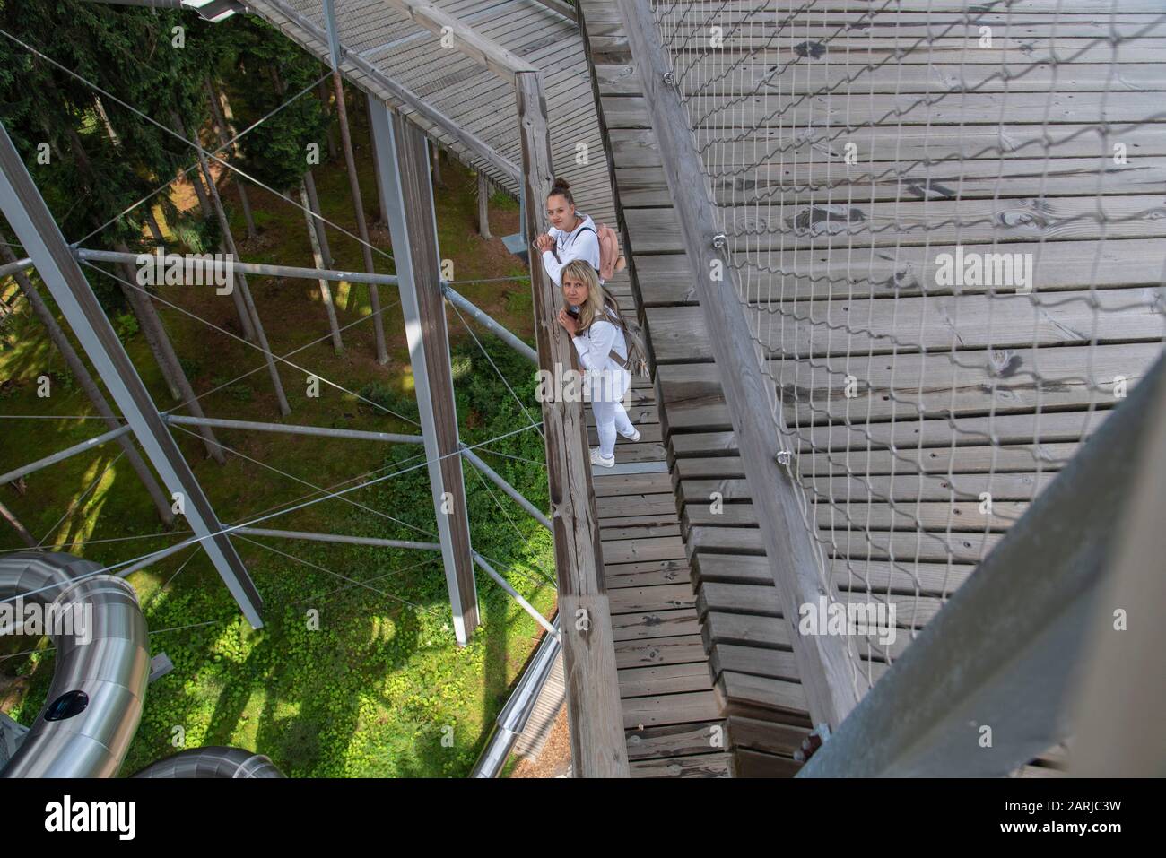 Treetop Walkway lignting, Sightseeing trail in tree crowns. Wooden ...