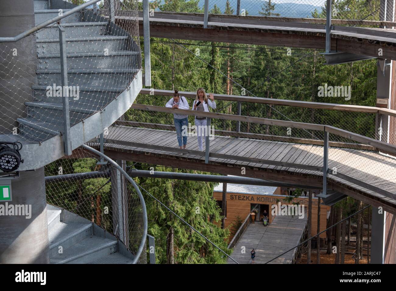 Treetop Walkway lignting, Sightseeing trail in tree crowns. Wooden ...