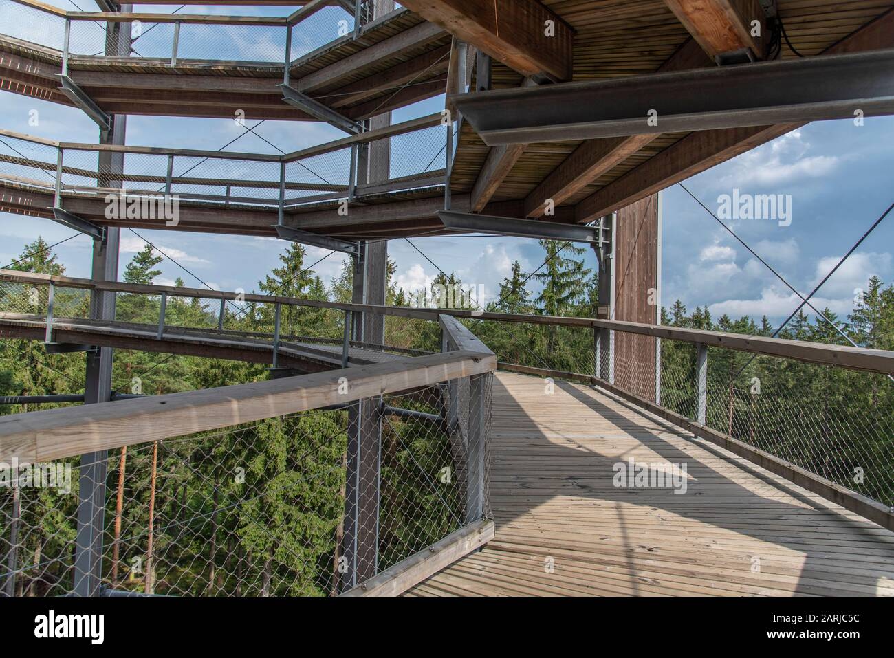 Treetop Walkway lignting, Sightseeing trail in tree crowns. Wooden ...