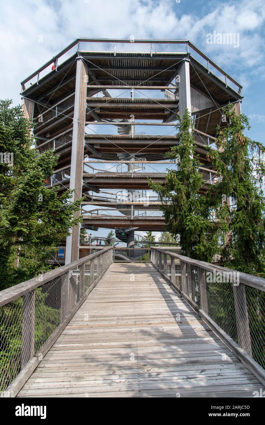 Treetop Walkway lignting, Sightseeing trail in tree crowns. Wooden ...