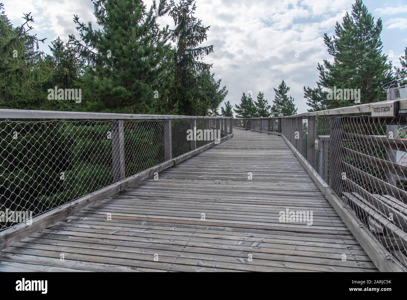 Treetop Walkway lignting, Sightseeing trail in tree crowns. Wooden ...