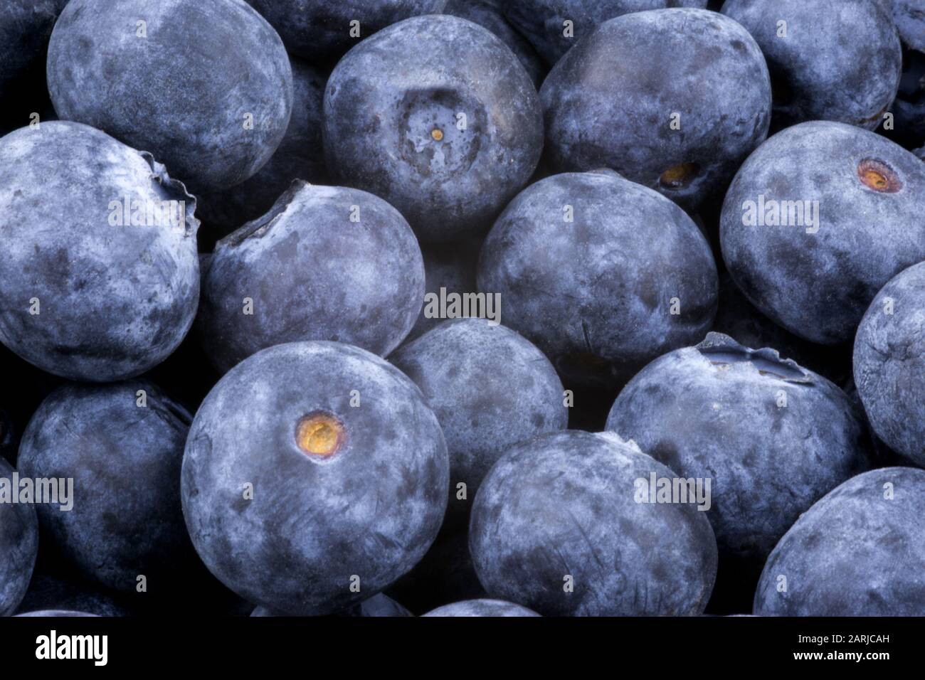 Close up view of a pile of fresh blueberries Stock Photo - Alamy