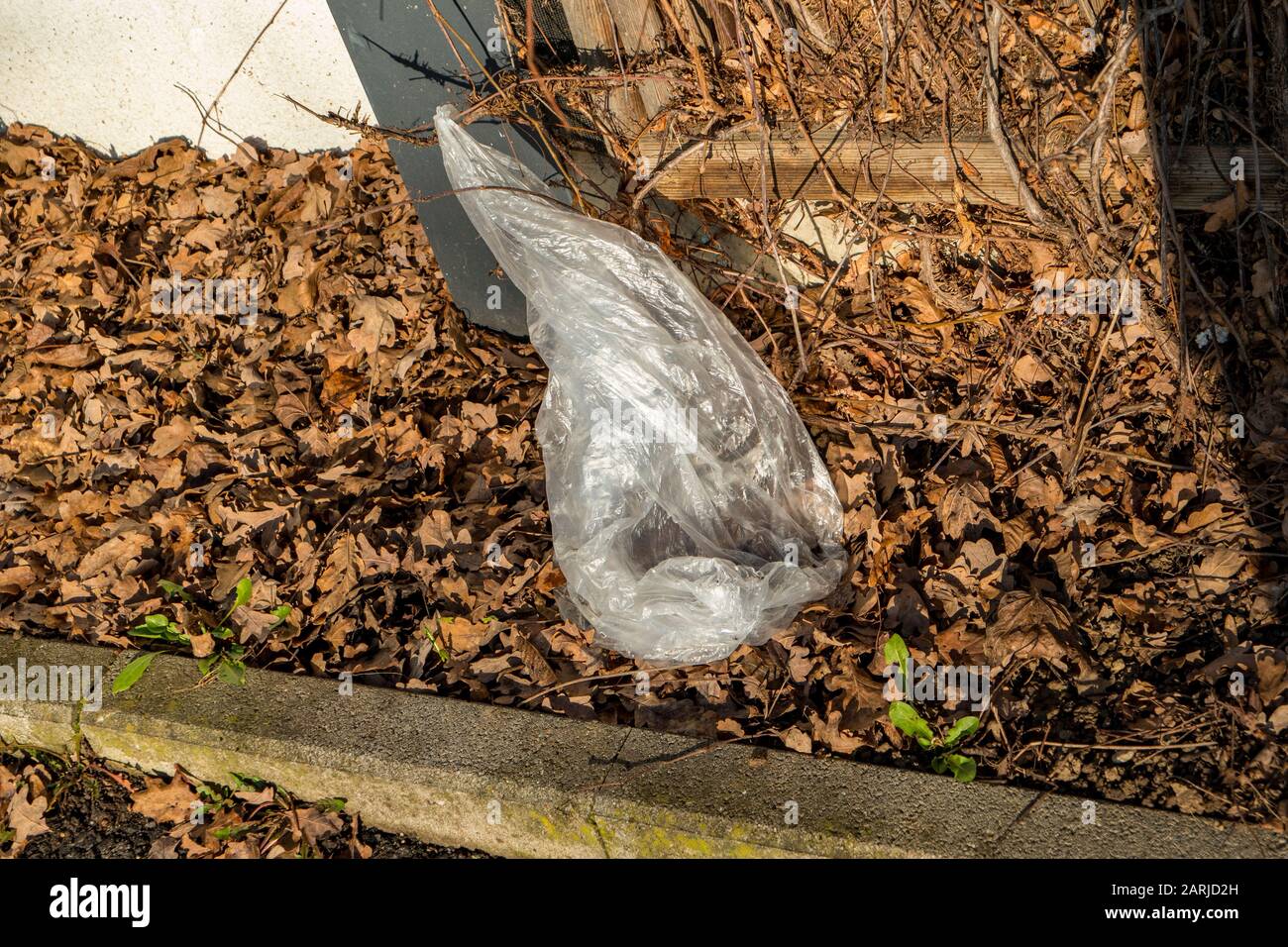 Plastic rubbish in leaves in nature Stock Photo - Alamy