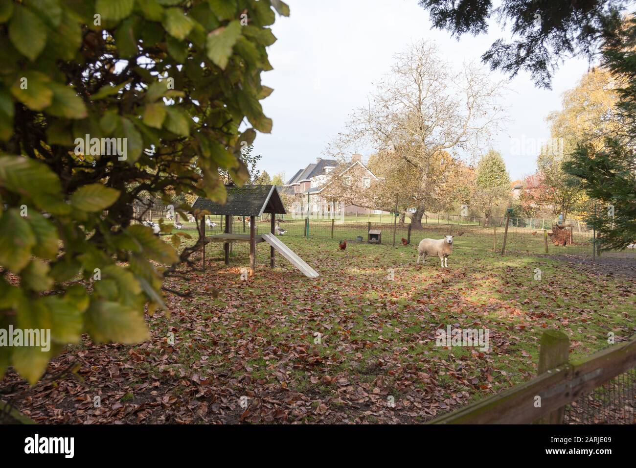 Farm house in Netherlands Stock Photo - Alamy