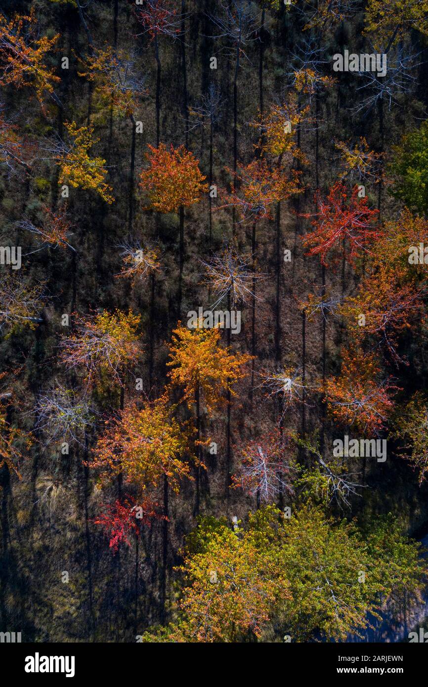 Ciruena hi-res stock photography and images - Alamy