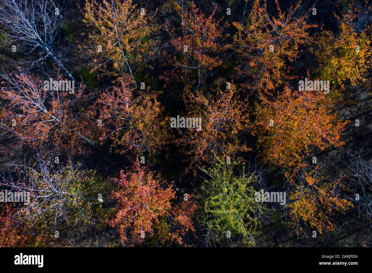 Ciruena hi-res stock photography and images - Alamy