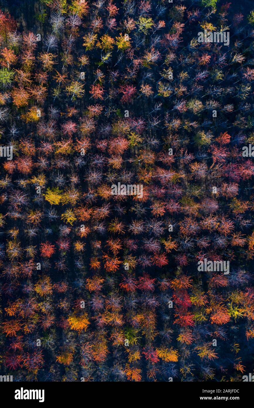 Ciruena hi-res stock photography and images - Alamy