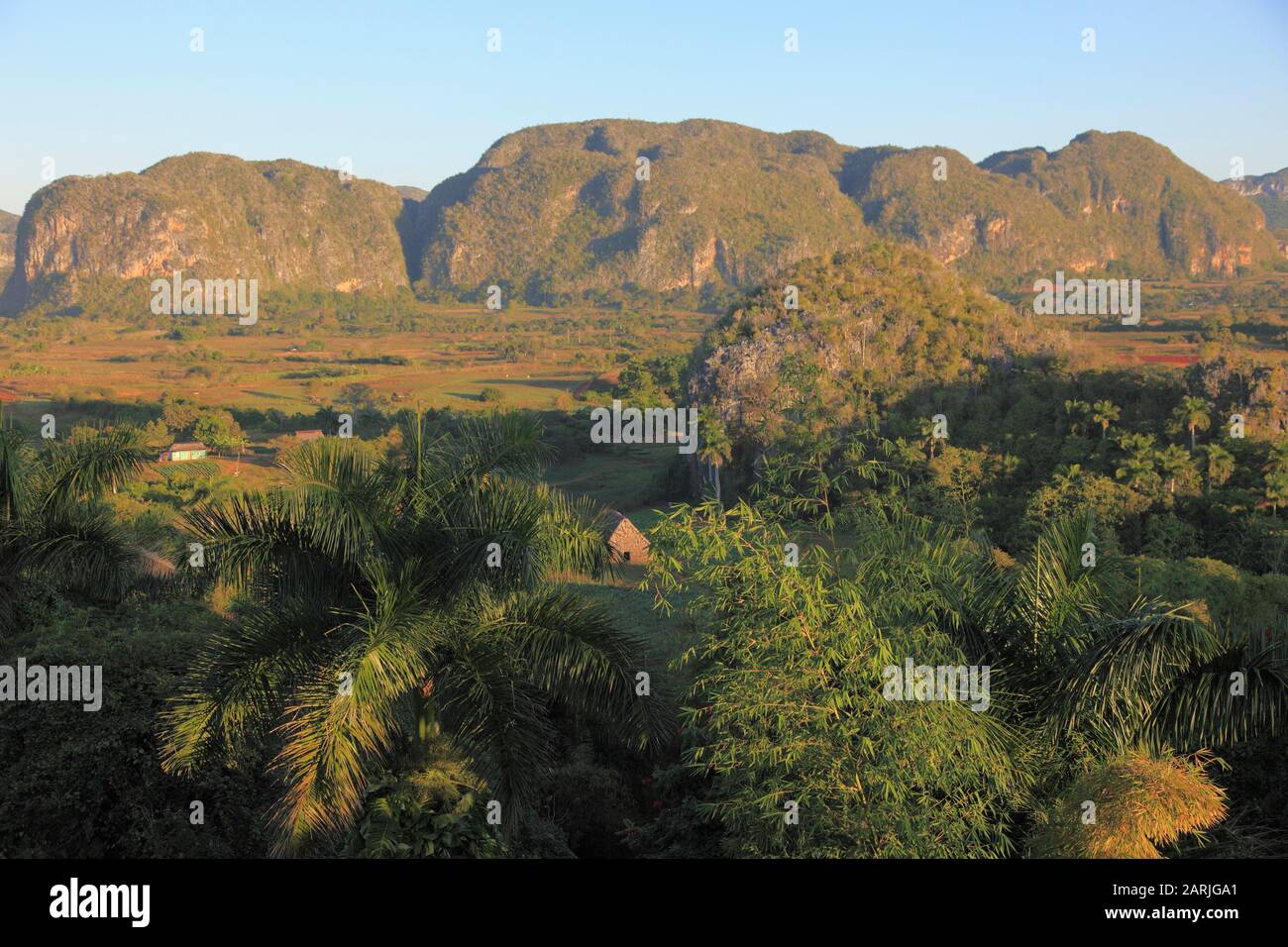 Cuba, Vinales Valley, Valle de Vinales, mogotes, limestone cliffs Stock ...