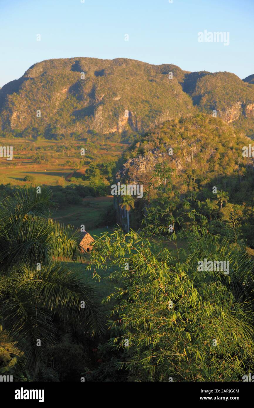 Cuba, Vinales Valley, Valle de Vinales, mogotes, limestone cliffs Stock ...