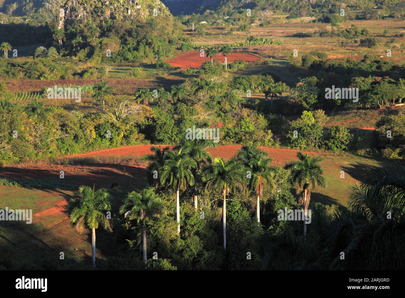 Cuba scenery hi-res stock photography and images - Alamy