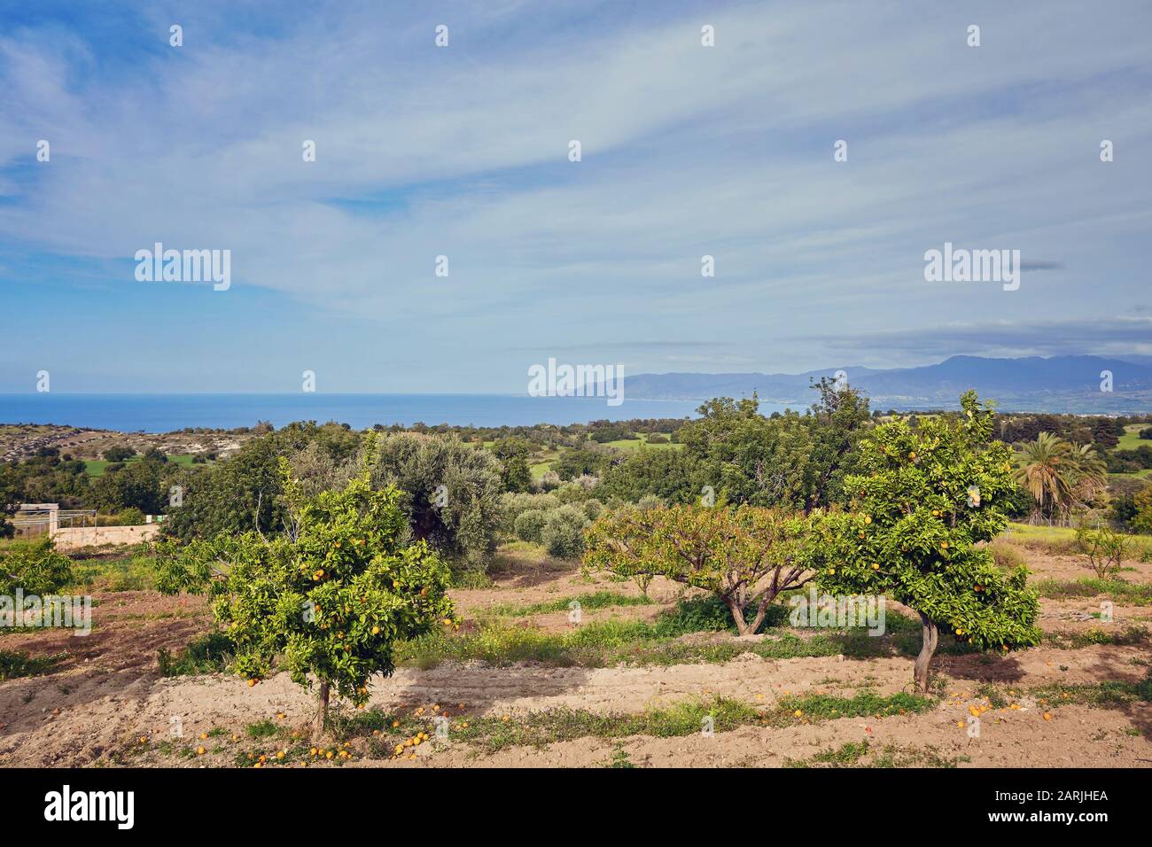 Cyprus Akamas Peninsula National Park mountain's top Stock Photo - Alamy