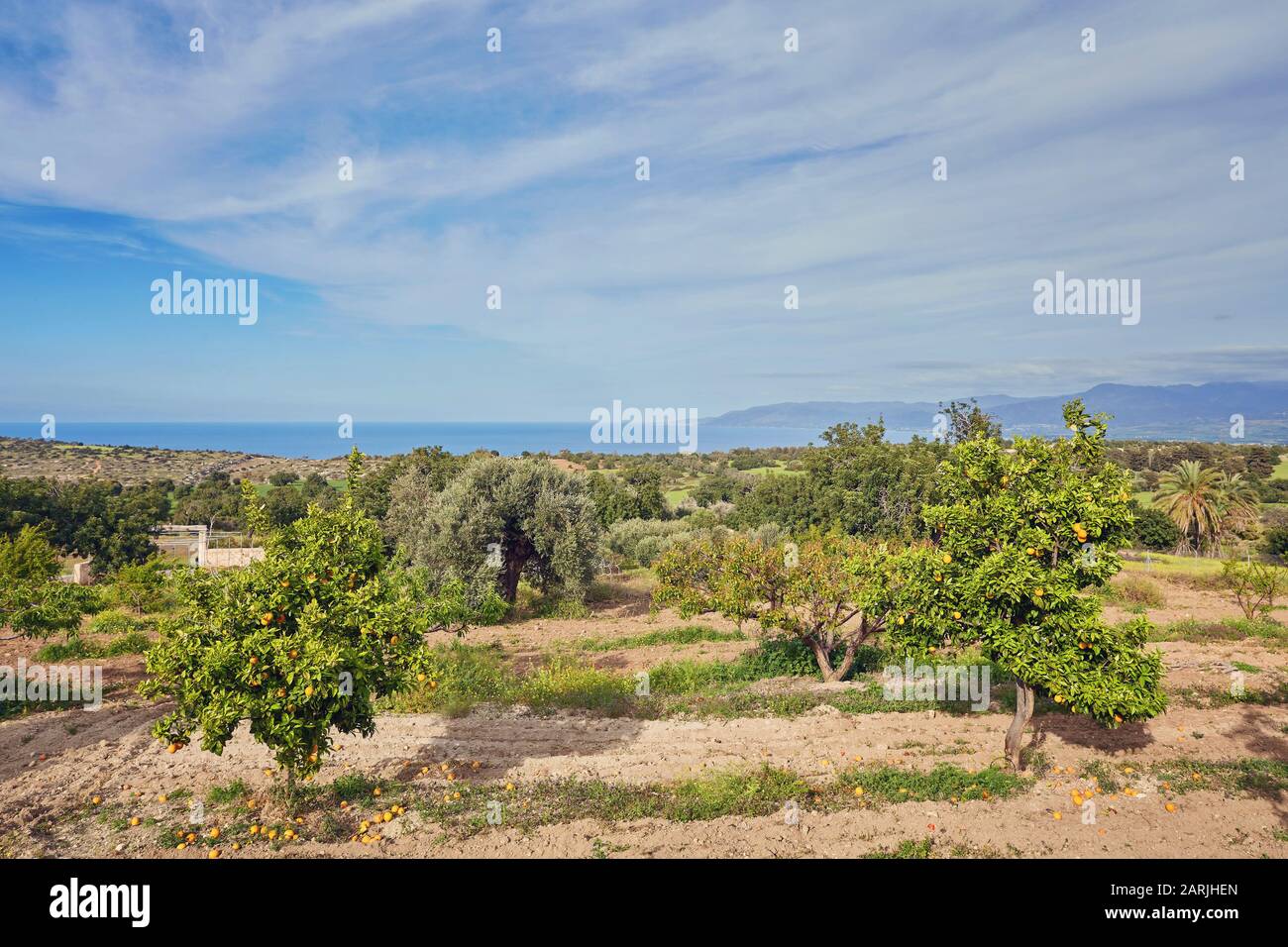 Cyprus Akamas Peninsula National Park mountain's top Stock Photo - Alamy