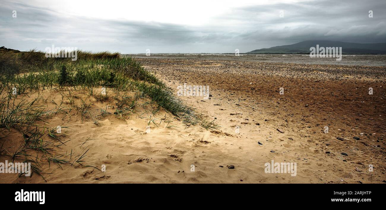 Dunes and grass at Duddon Sands, Solway Firth, England Stock Photo - Alamy