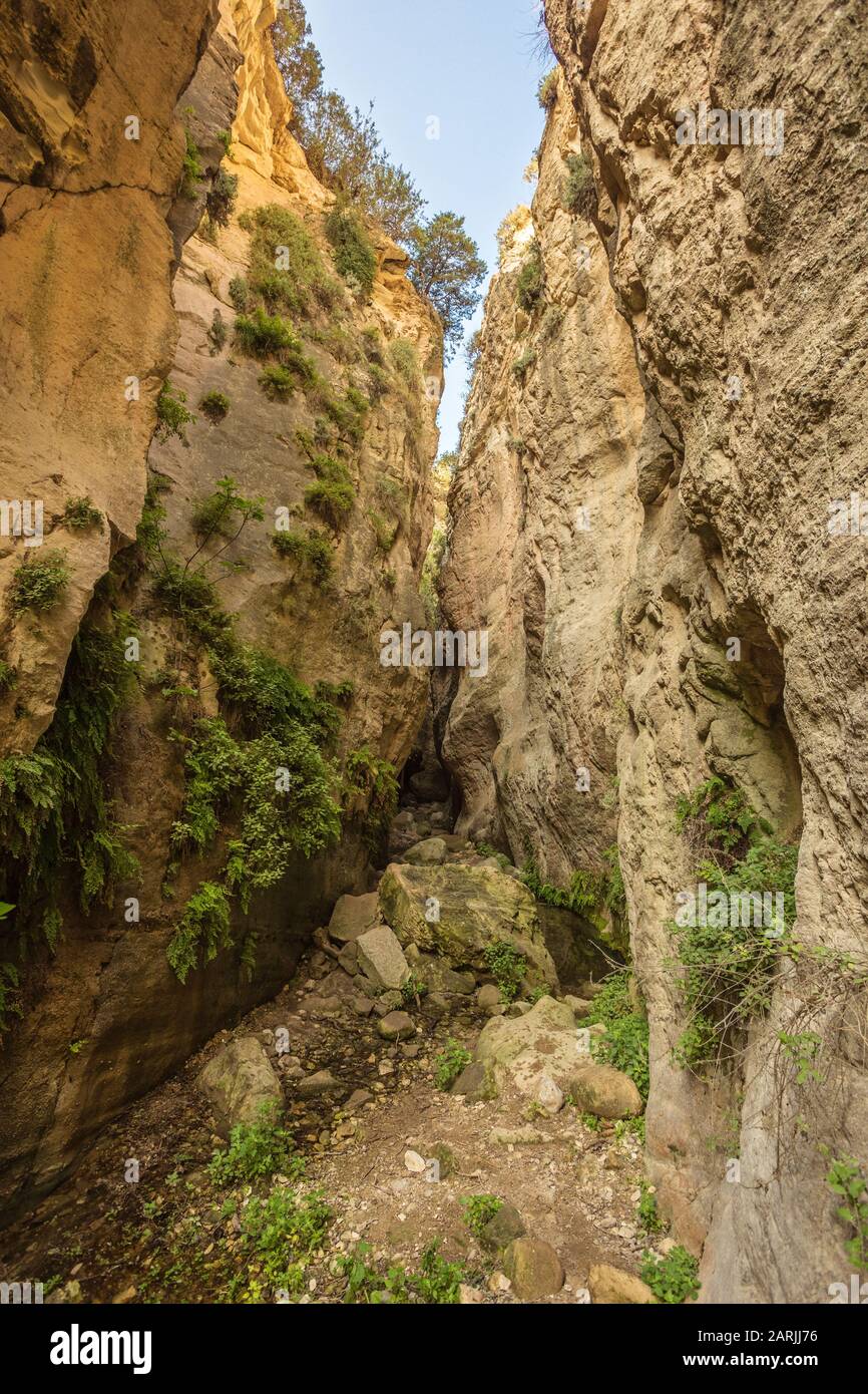 Amazing natural landscape in the Avakas canyon in Cyprus. National ...