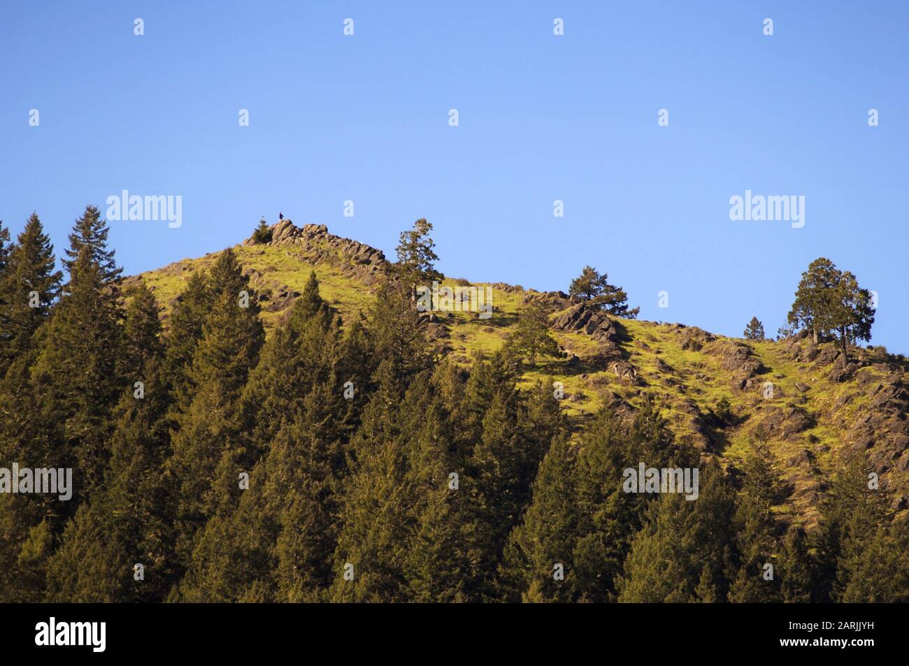 Spencer butte oregon hi-res stock photography and images - Alamy