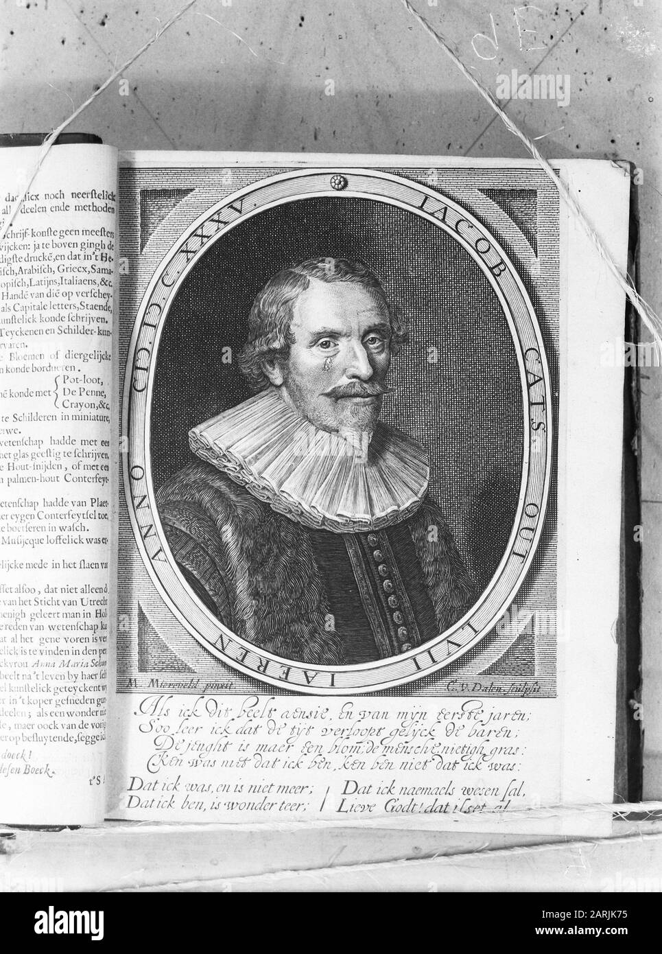 Jacob cats Black and White Stock Photos & Images - Alamy