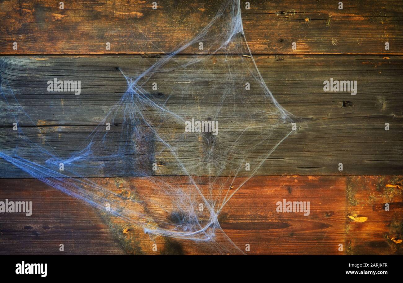 Aged wood background with spider web Stock Photo - Alamy
