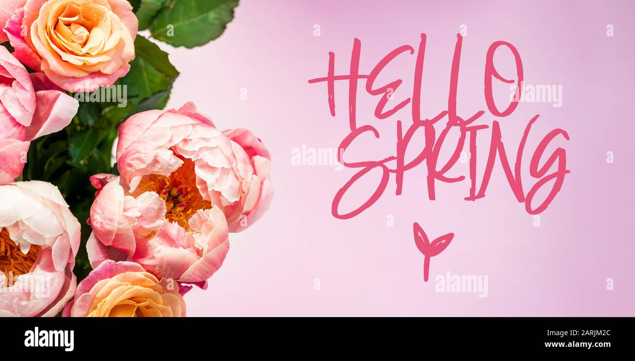 Fresh bunch of pink peonies and roses and slogan Hello Spring. Card ...