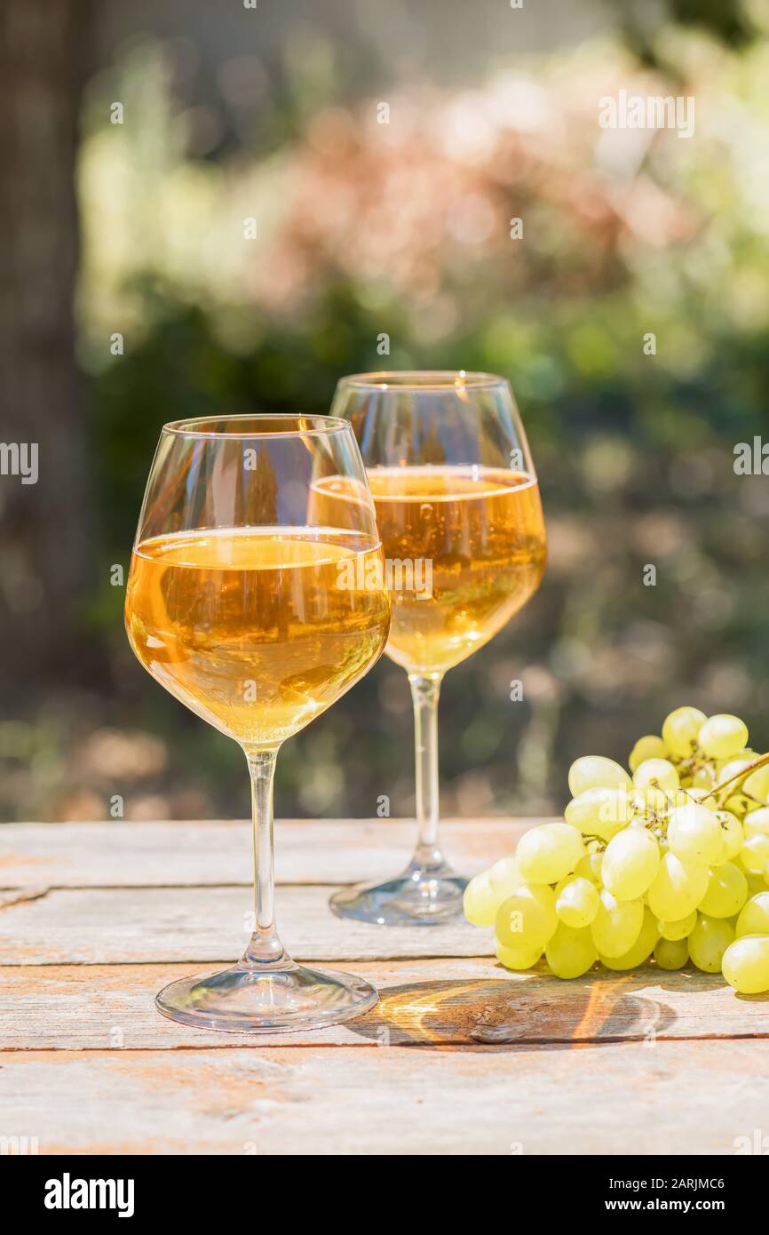Amber wine in glasses on the nature: still life with cheese, grapes and ...