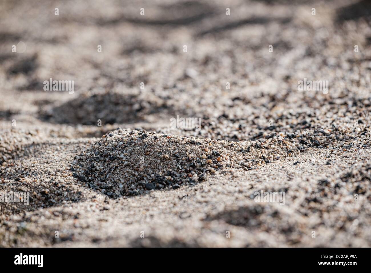 Sand furrows create a marco landscape Stock Photo - Alamy