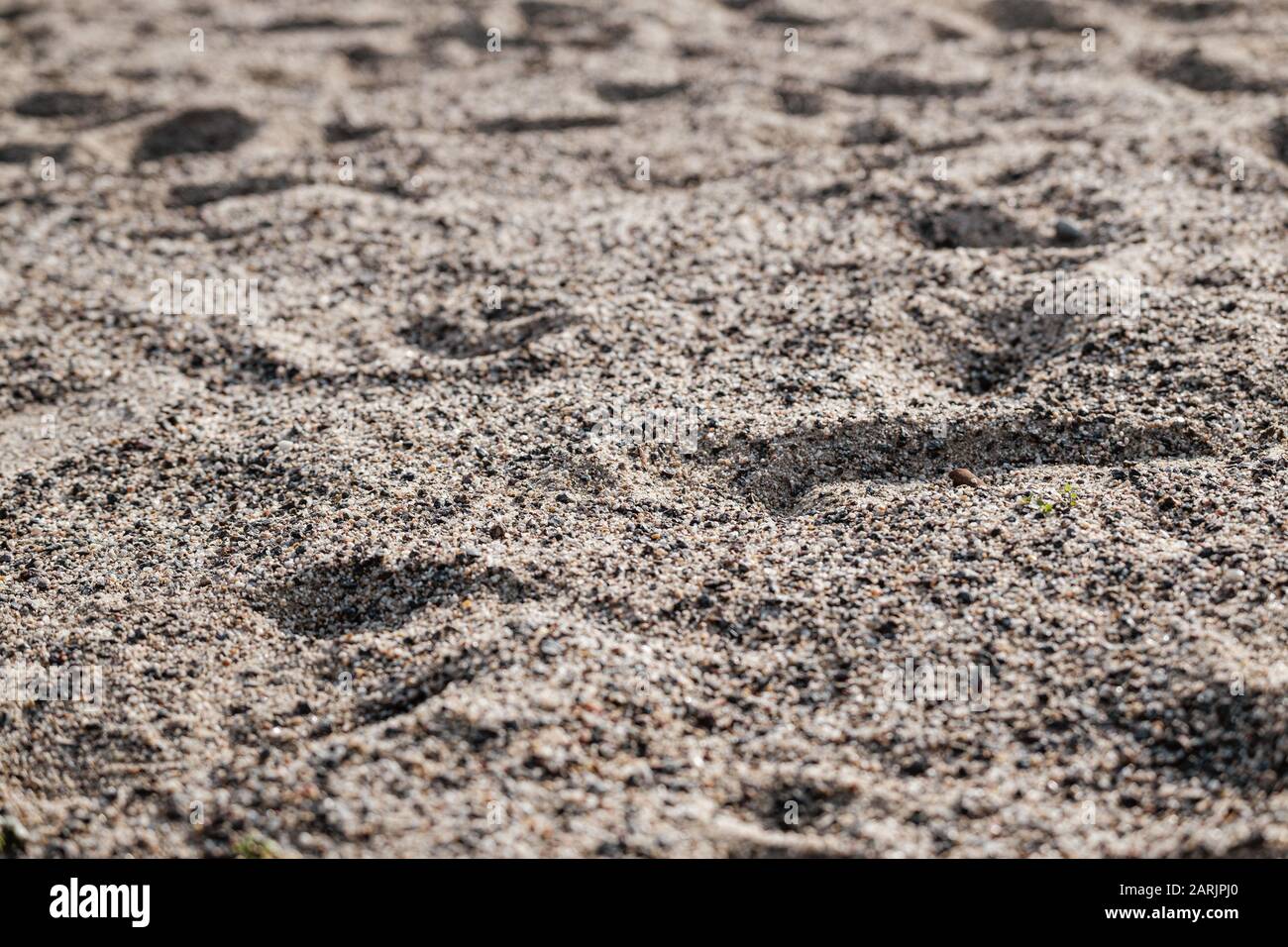 Sand furrows create a marco landscape Stock Photo - Alamy