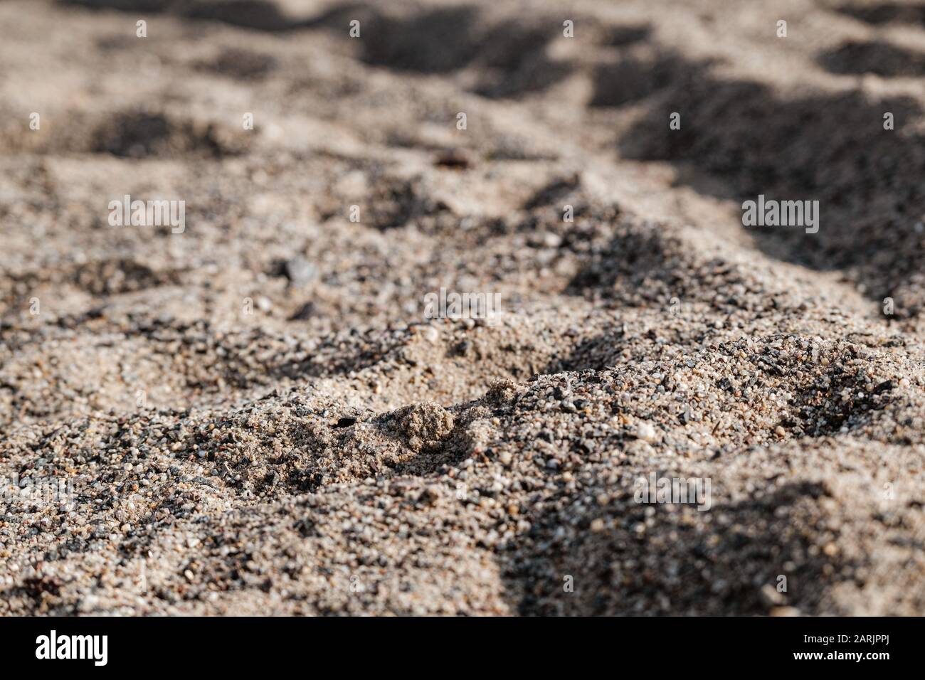 Sand furrows create a marco landscape Stock Photo - Alamy