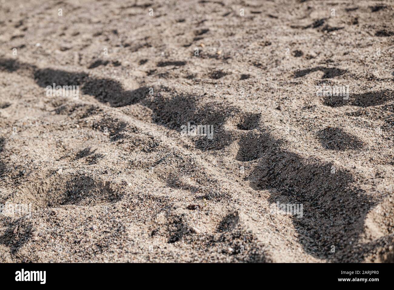 Sand furrows create a marco landscape Stock Photo - Alamy