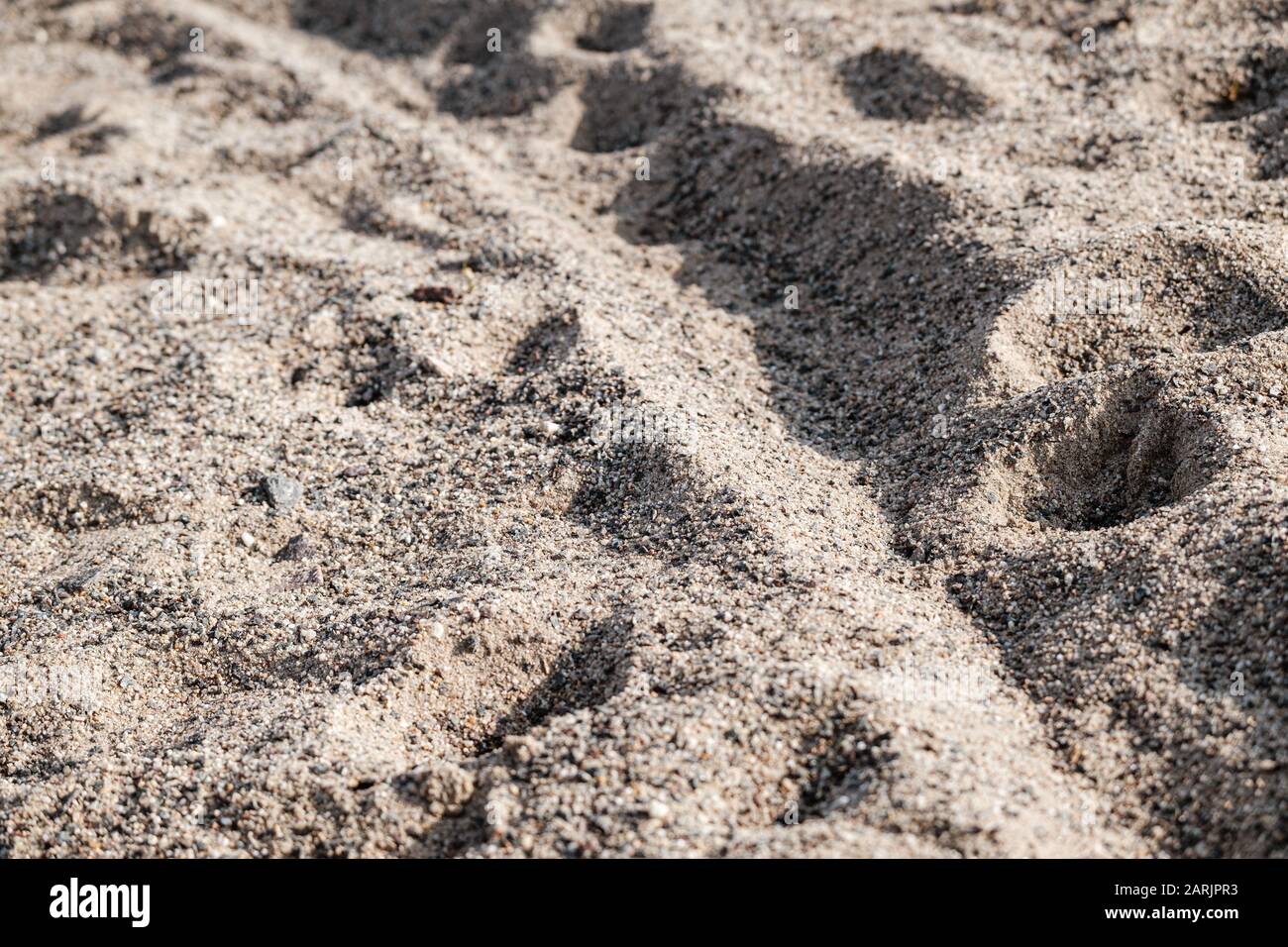 Sand furrows create a marco landscape Stock Photo - Alamy