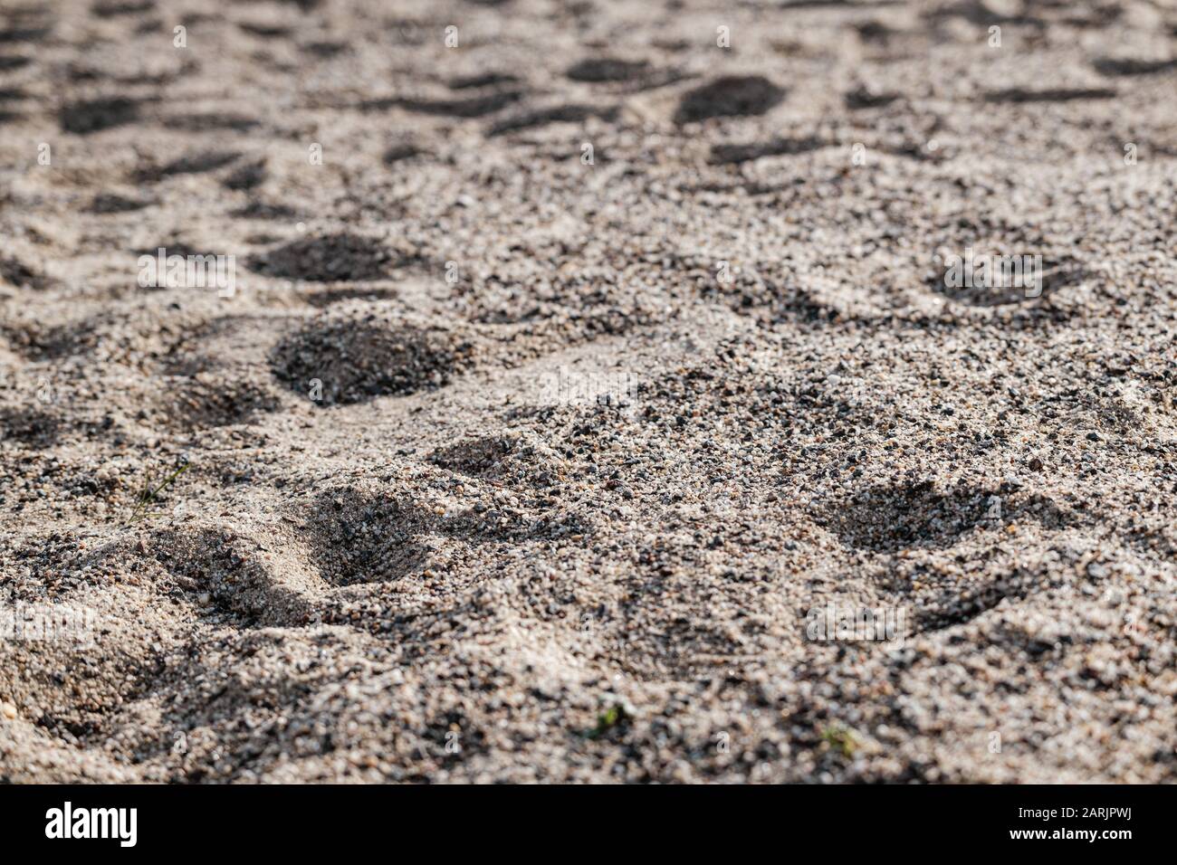 Sand furrows create a marco landscape Stock Photo - Alamy