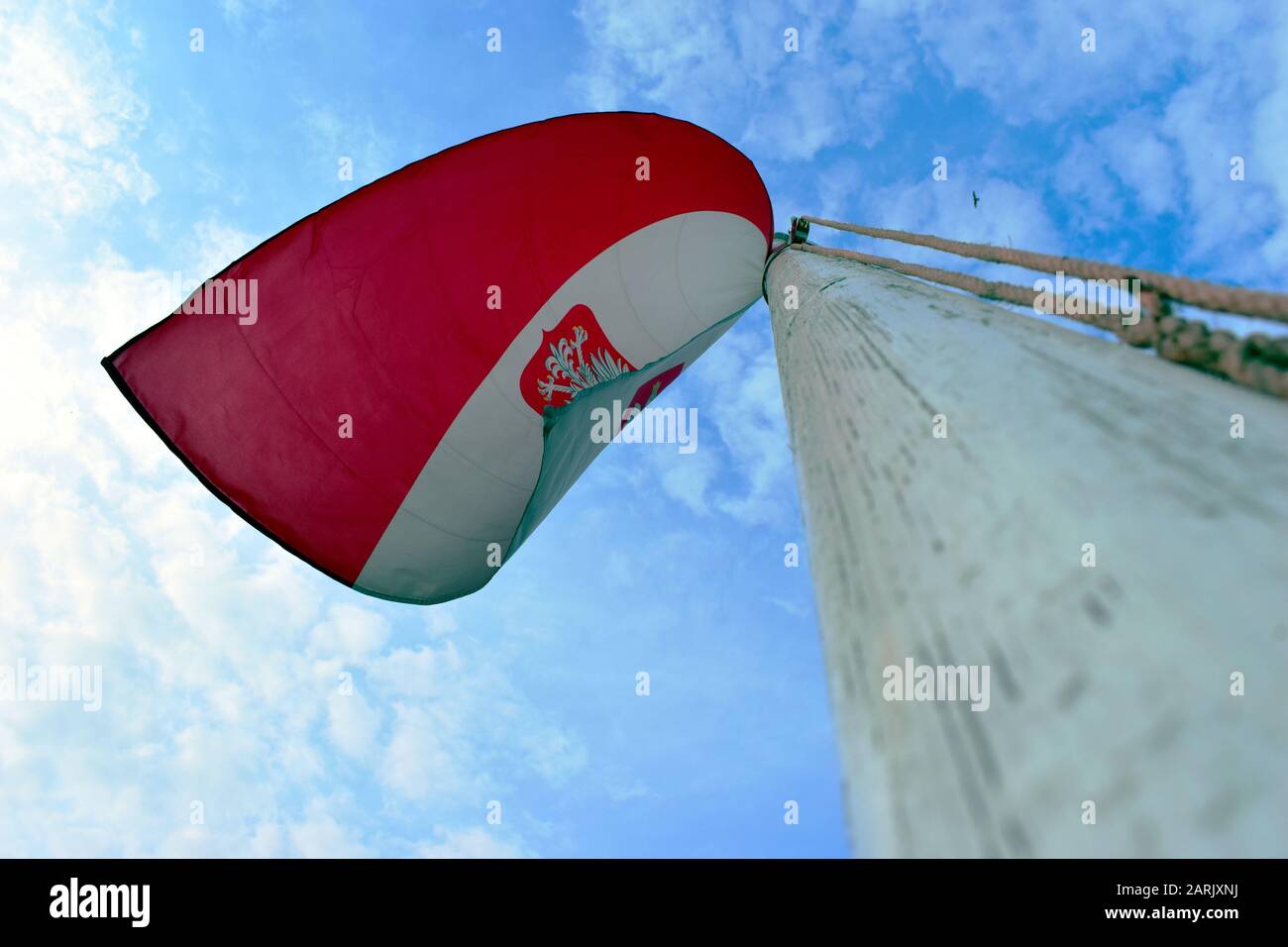 Polish flag with crest hi-res stock photography and images - Alamy