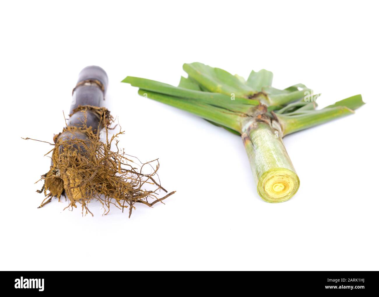 Sugarcane Cut Out Stock Images & Pictures - Alamy