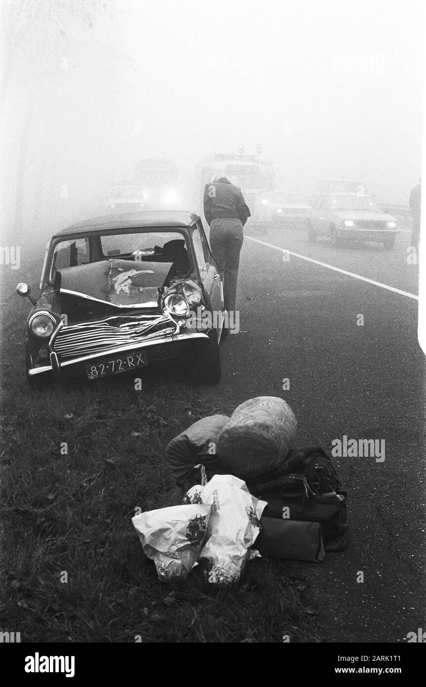 Root related Black and White Stock Photos & Images - Alamy