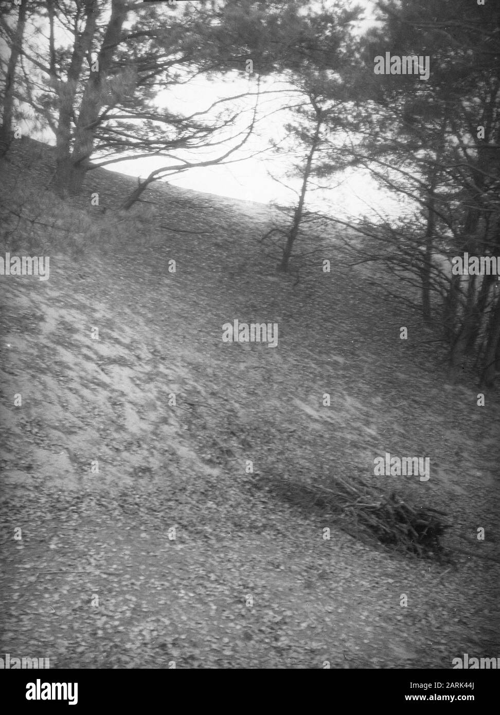 damage, inorganic, pollen sand, mussel sand Date: undated Keywords ...